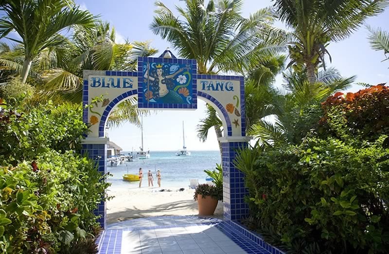 Blue Tang Inn | Beachfront Paradise in San Pedro, Ambergris Caye